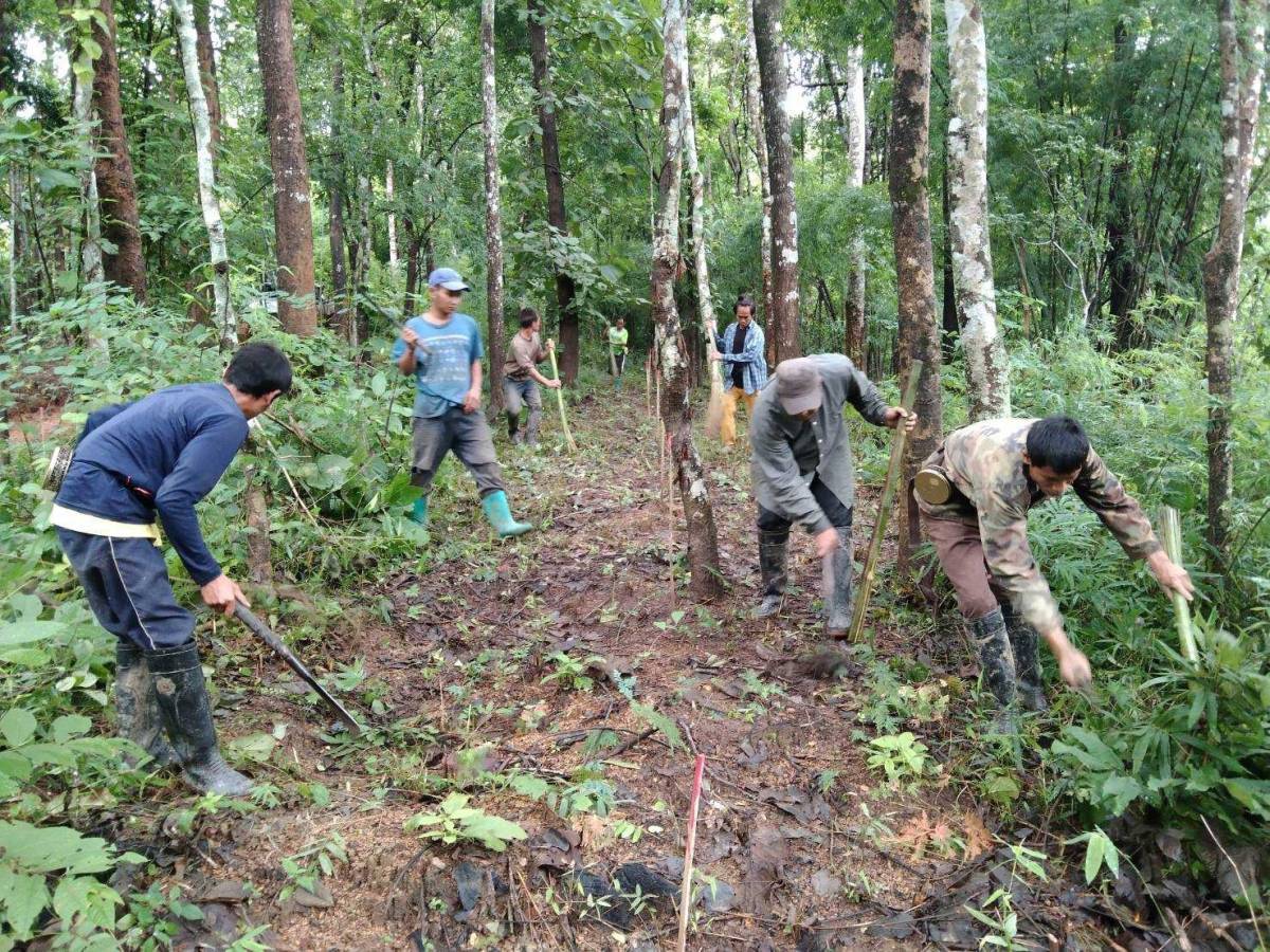 กฟผ.ปลื้ม โชว์ผลงาน 2 ปี(2565-2566) ปลูกป่าแล้วเกือบ 2 แสนไร่ - www.ten-news.com
